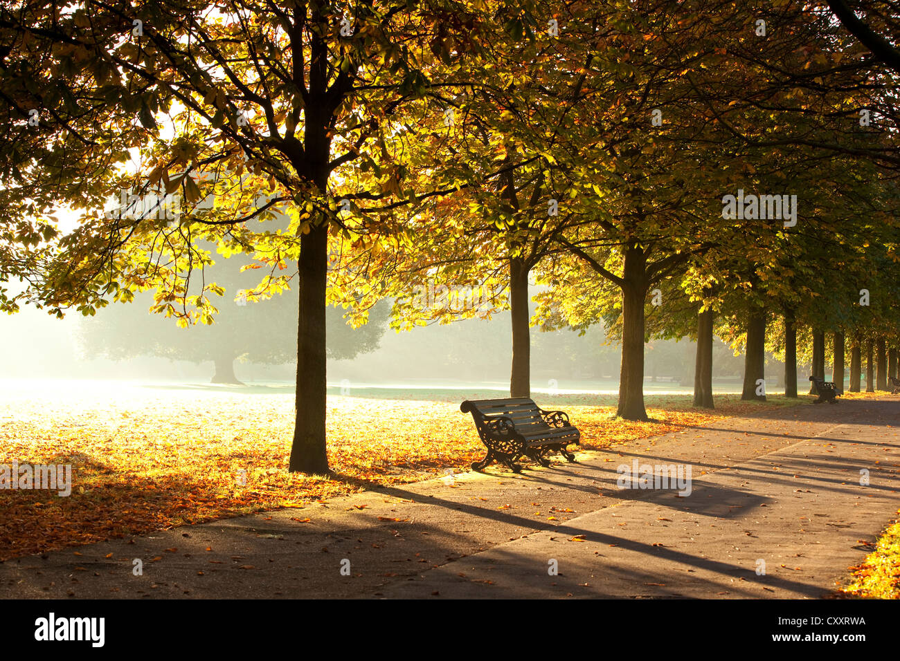 Greenwich park london autumn hi-res stock photography and images - Alamy