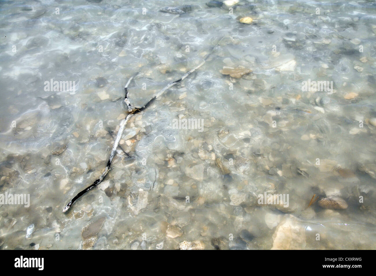 surface of a natural salty water pond near Dead Sea Stock Photo - Alamy