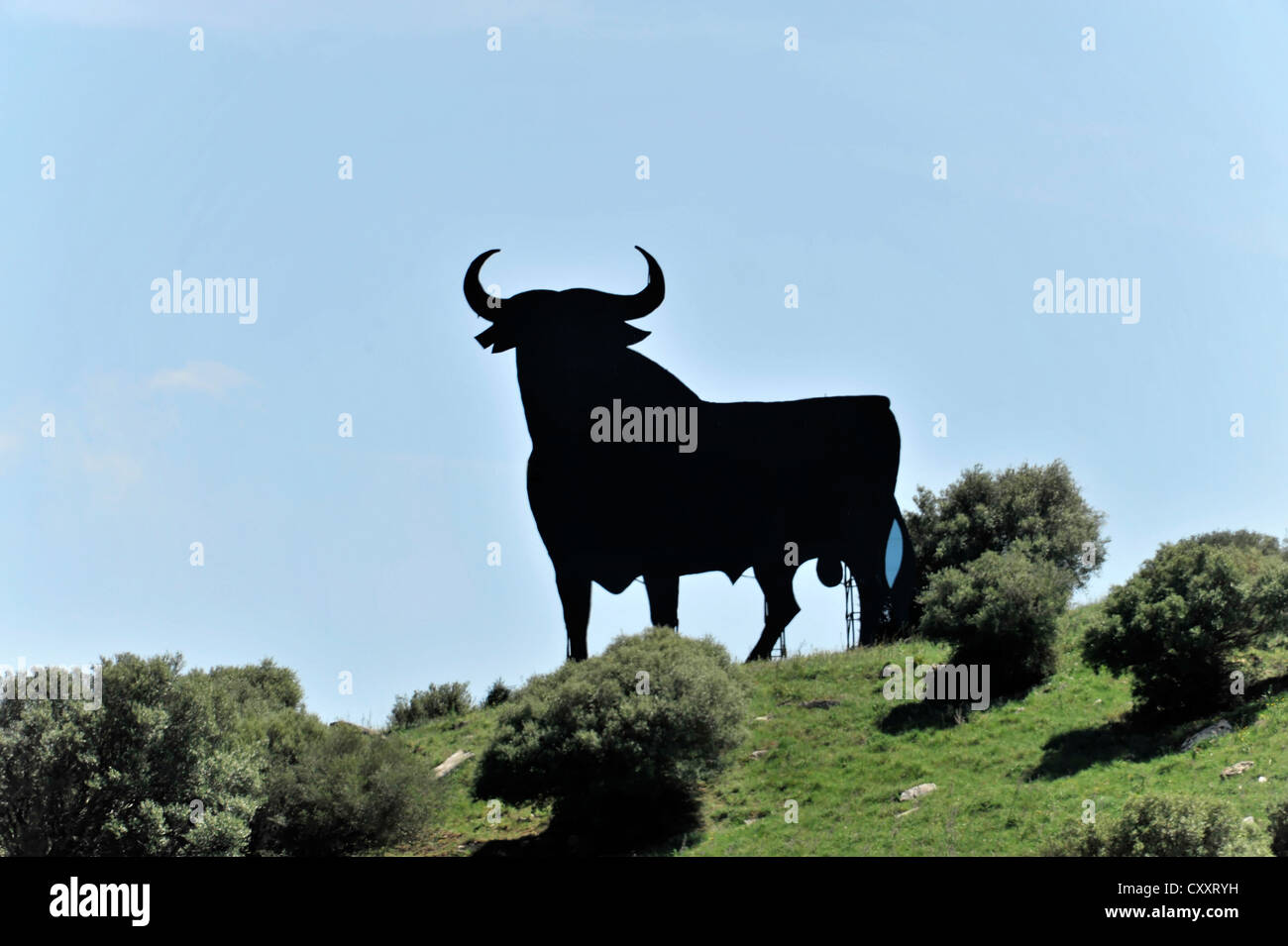 Toro osborne hi-res stock photography and images - Alamy
