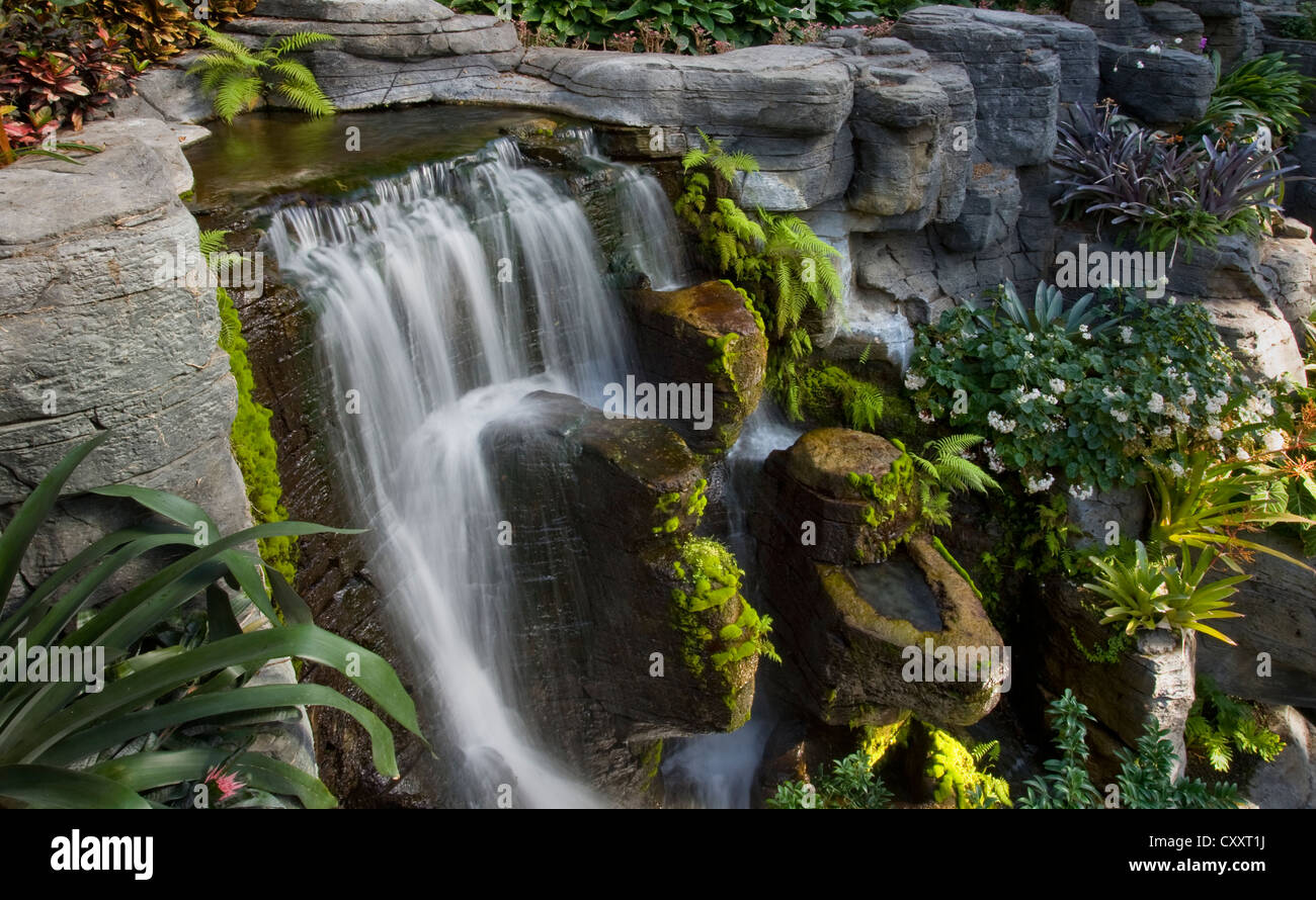 Waterfall Jungle Scene Stock Photo - Alamy