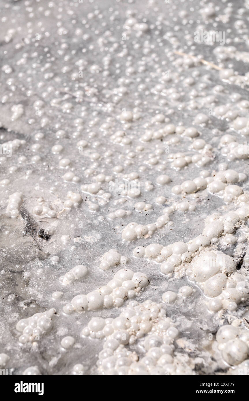 Scum on water hi-res stock photography and images - Alamy