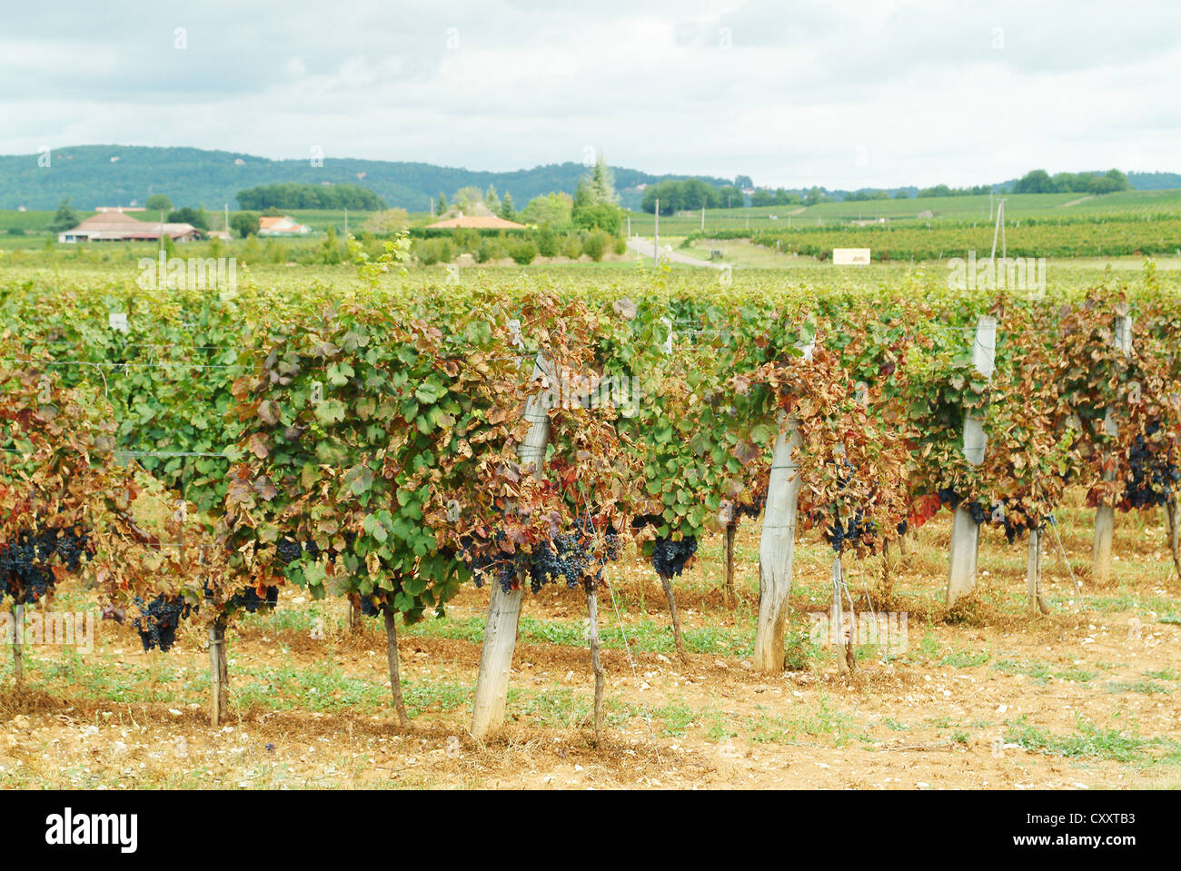 Vendage hi-res stock photography and images - Alamy