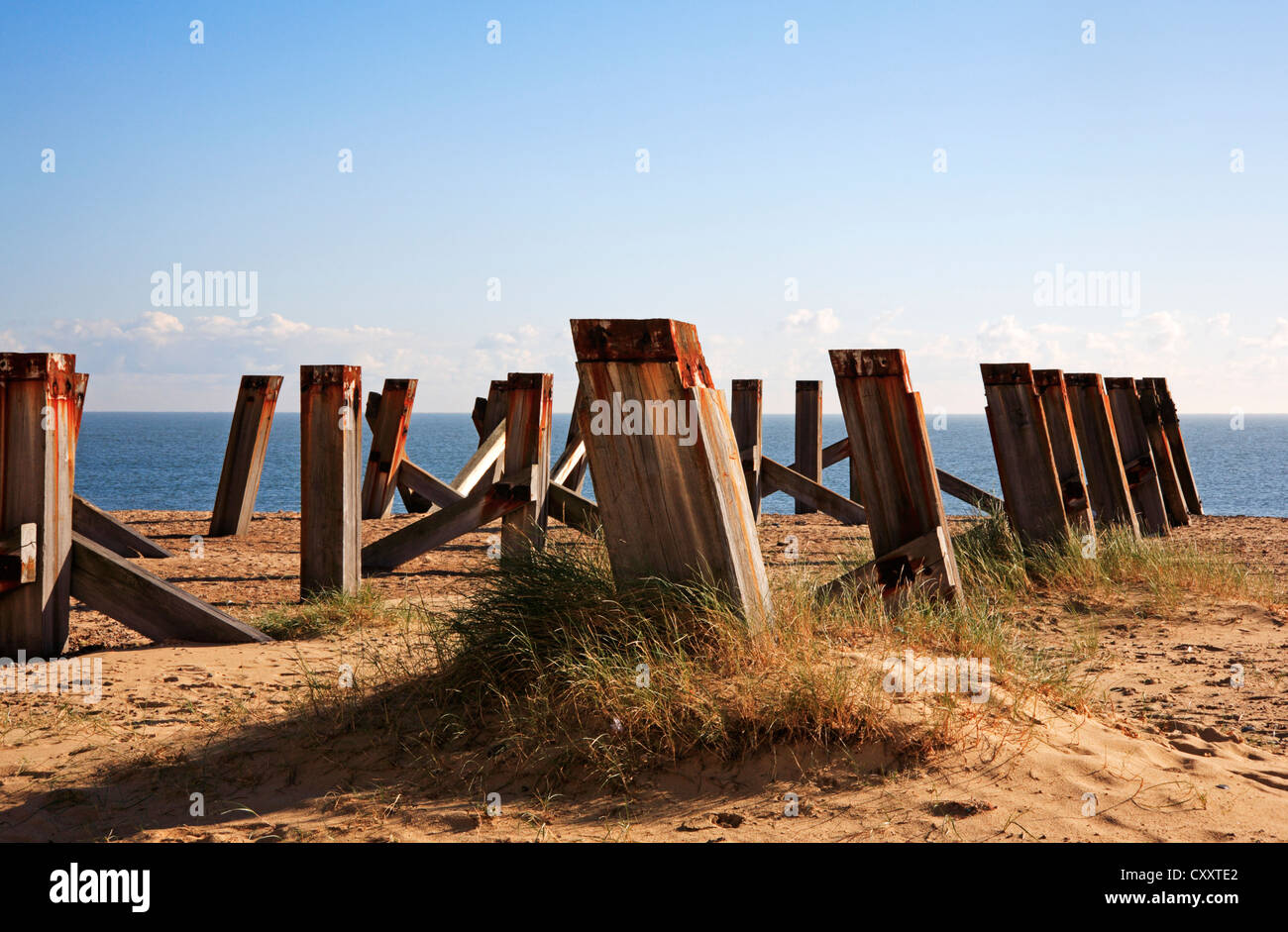 A view of old pier supports off the end of the Wellington Pier at Great ...
