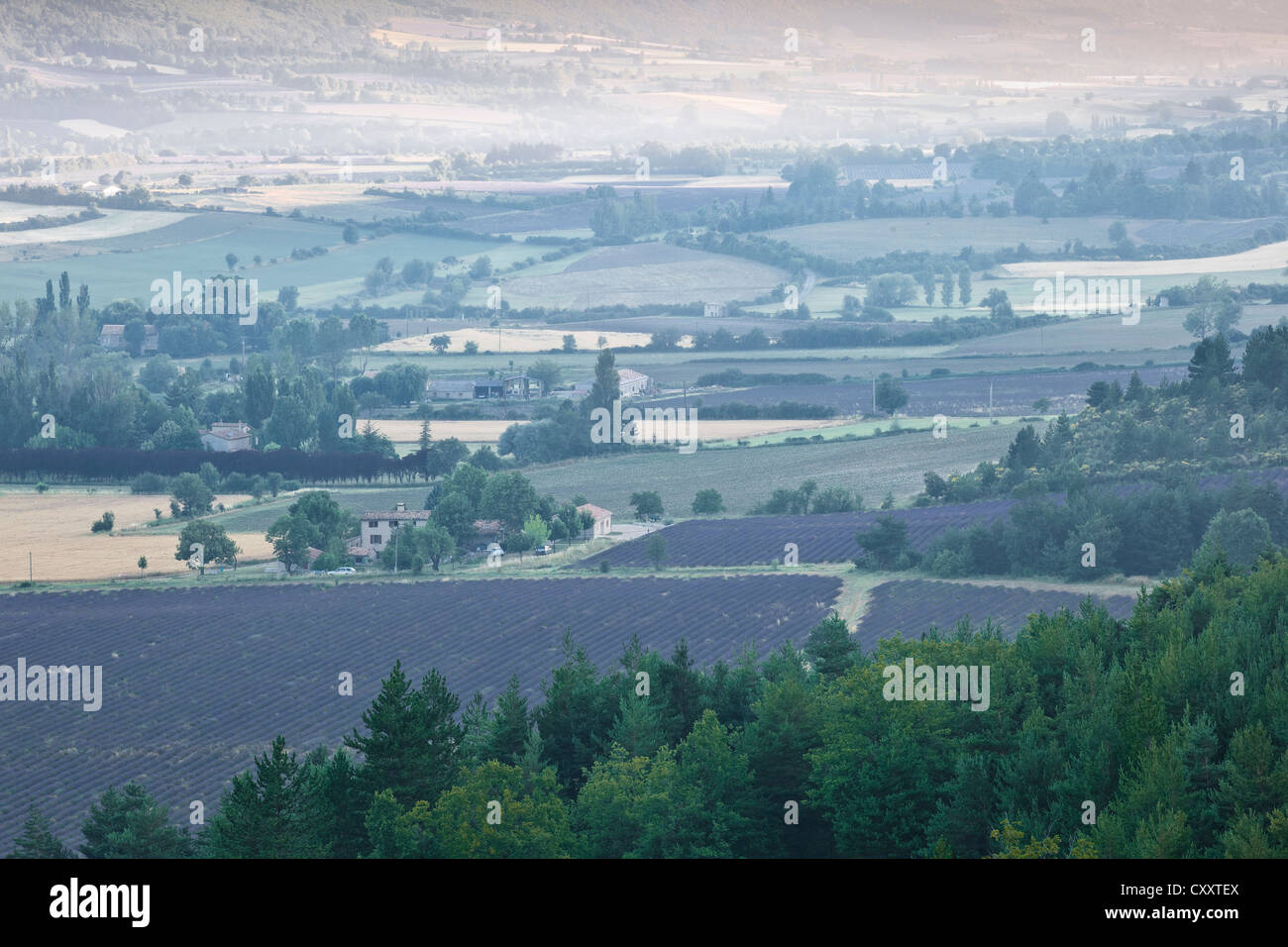 Dawn in provence hi-res stock photography and images - Alamy