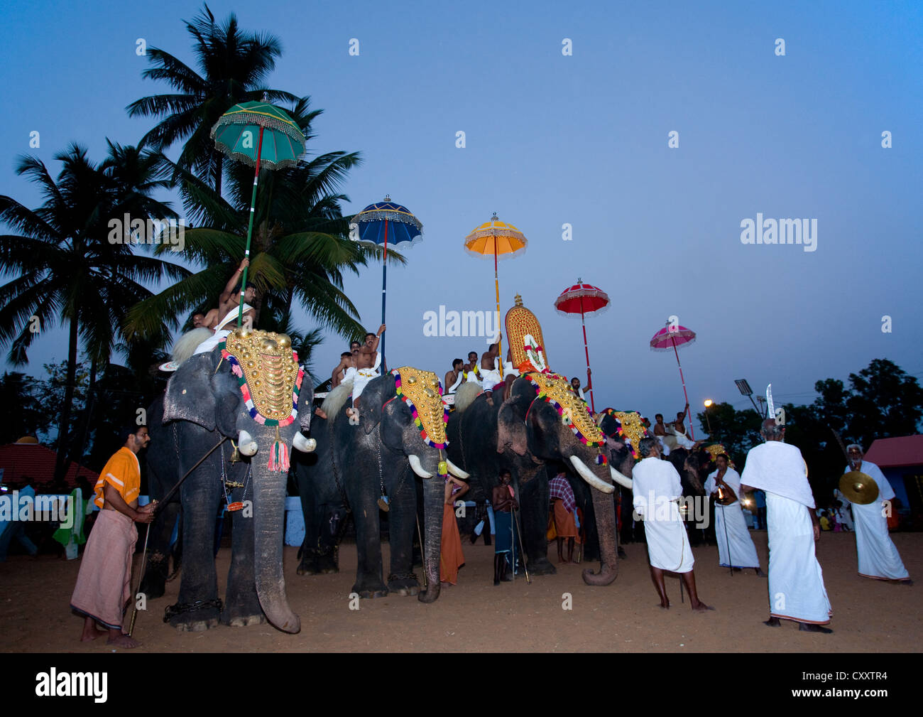 Row Of Decorated Elephants Ridden By Priests Holding Colorful Parasol ...