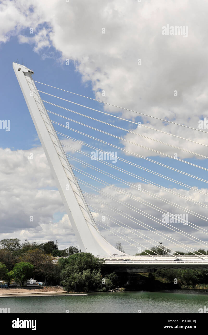 Puente del Alamillo, Alamillo Bridge across the Guadalquivir river ...