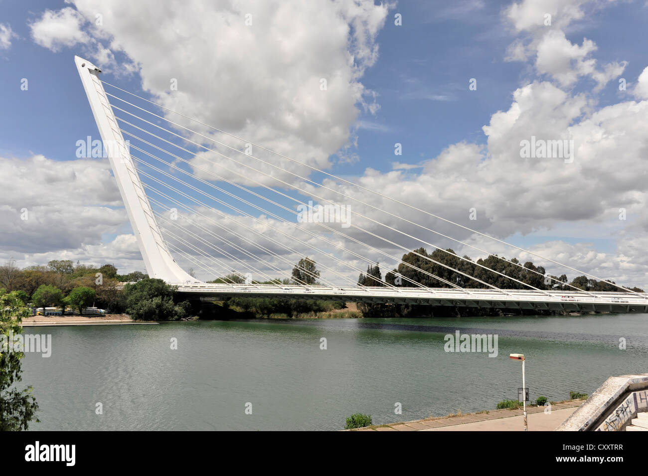 Puente del Alamillo, Alamillo Bridge across the Guadalquivir river ...