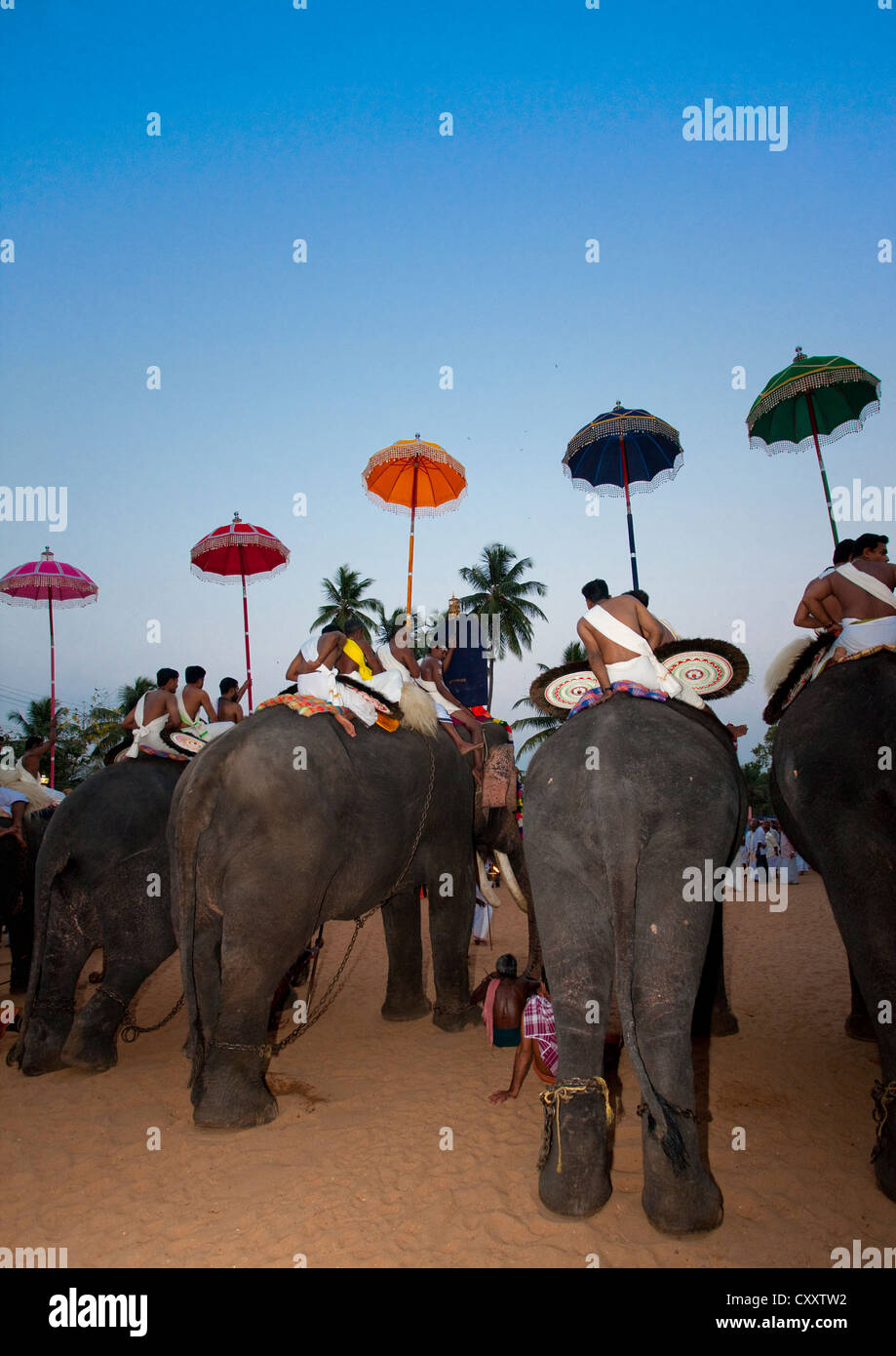 Decorated elephants during temple festival hi-res stock photography and ...