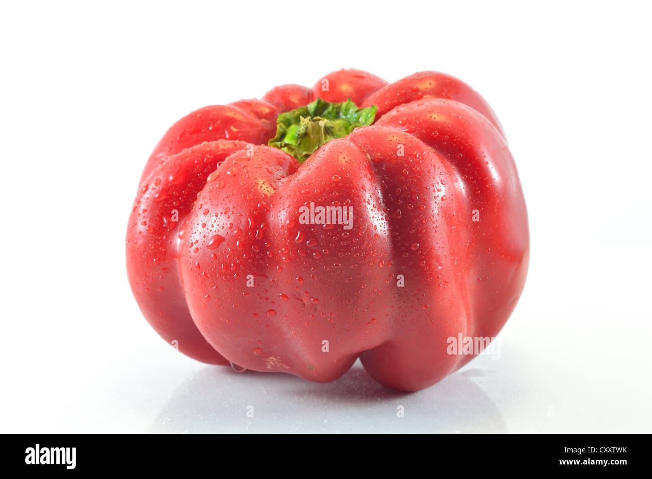 Bulgarian pepper close up on white background Stock Photo - Alamy
