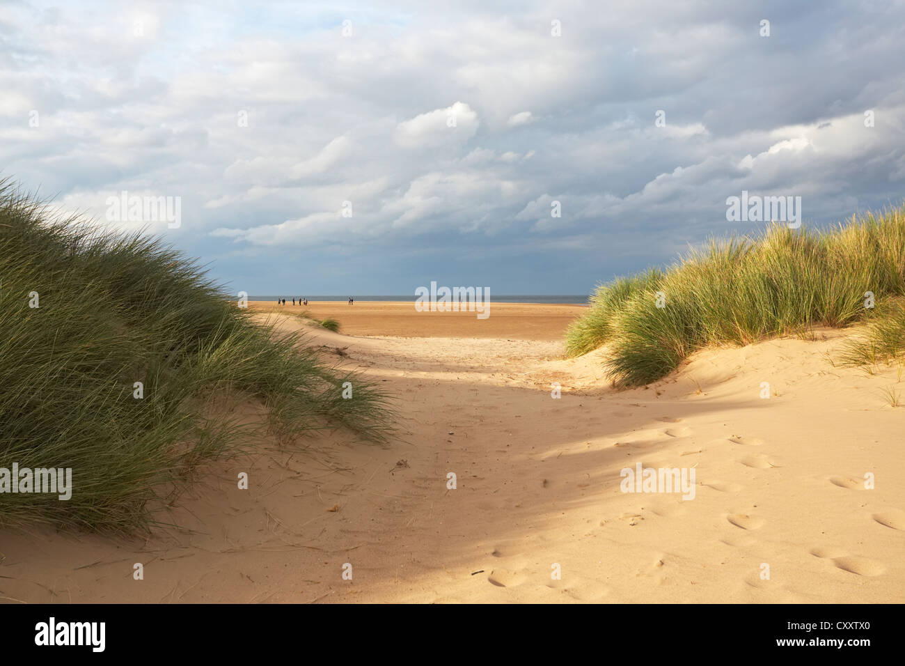 North Norfolk Holkham beach sand dunes marram grass and sea Stock Photo ...