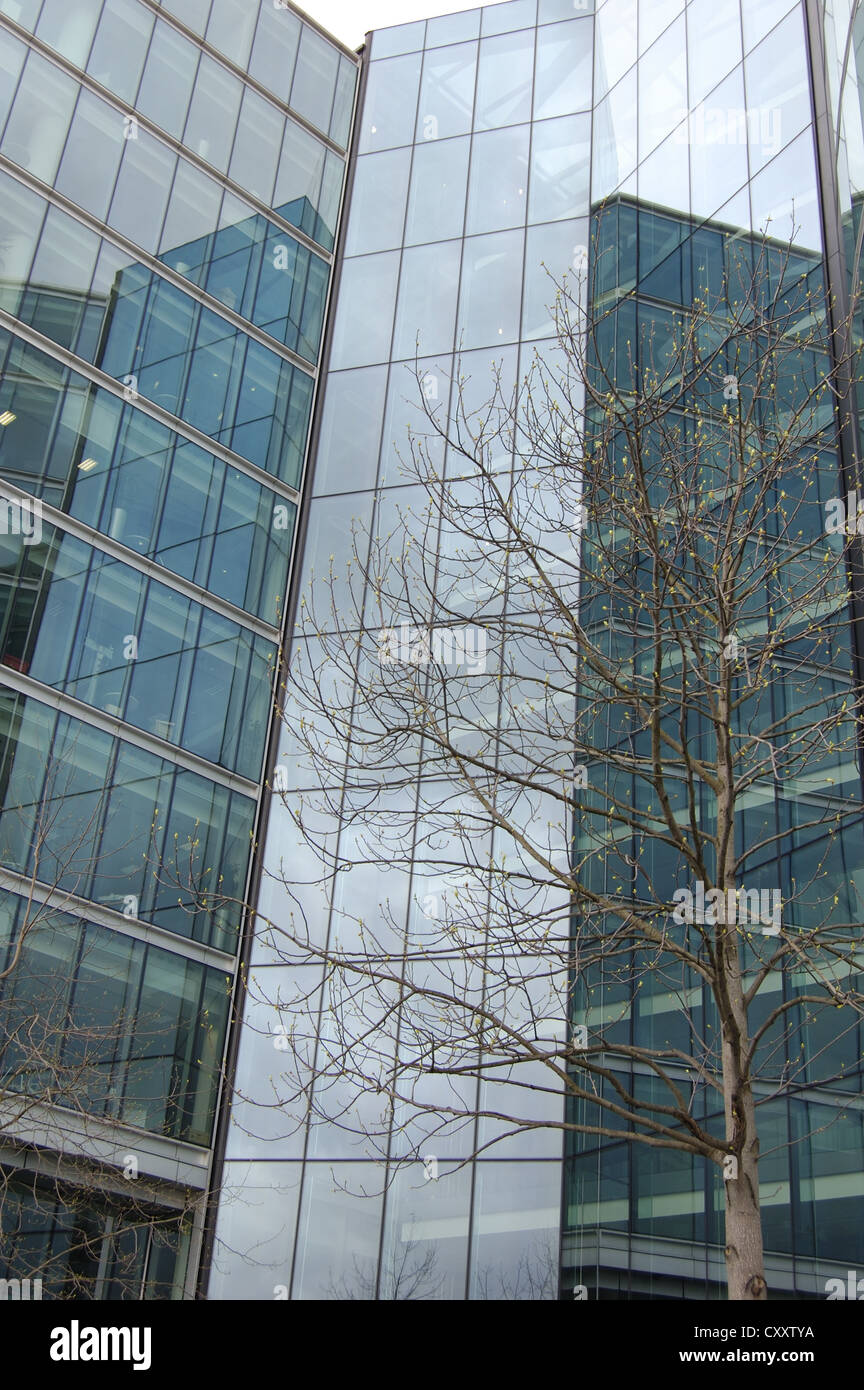 Glass facade of a modern office building Stock Photo - Alamy