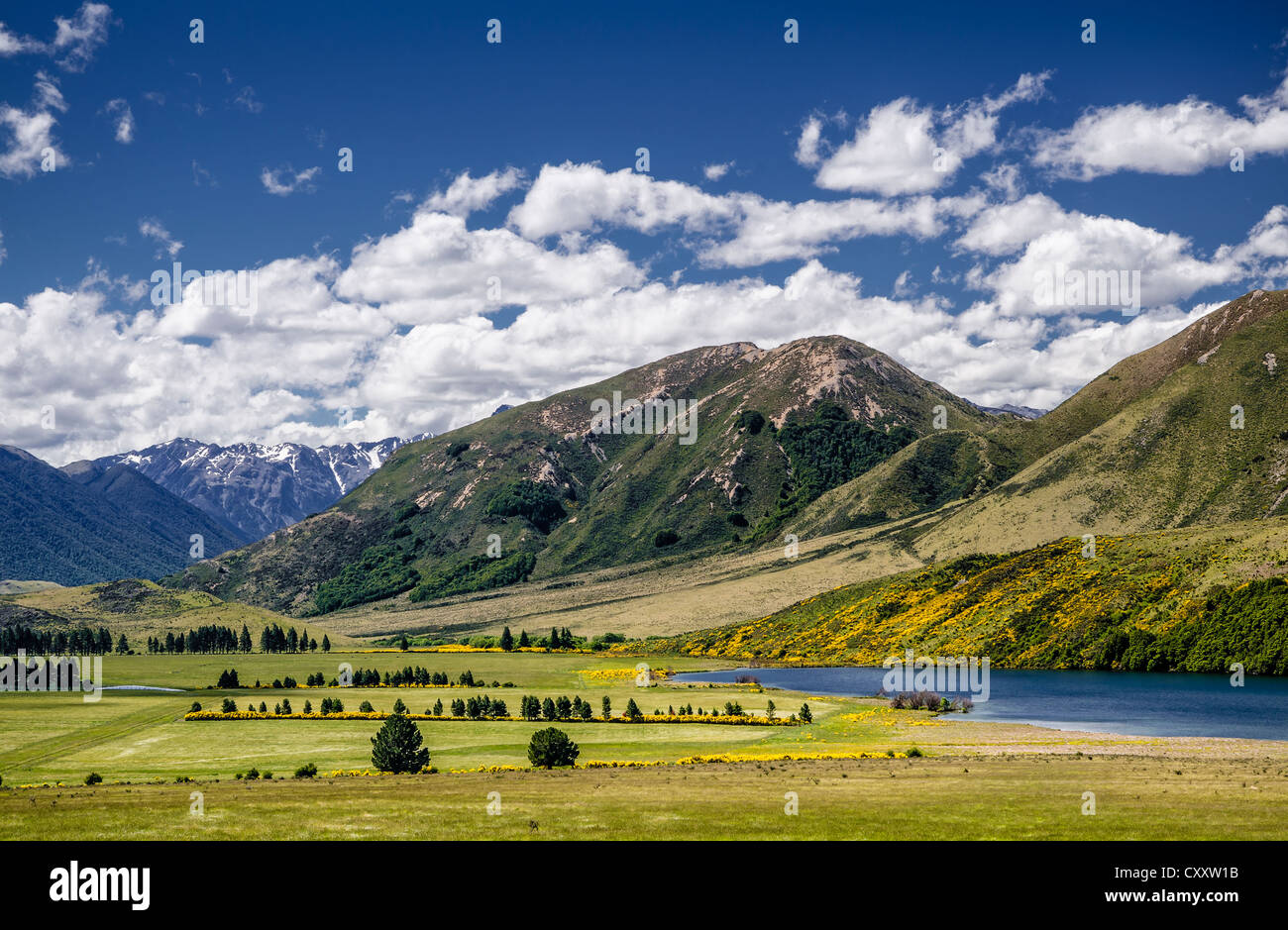 Mountains and meadows, Craigieburn Range, Porters Pass, Canterbury ...
