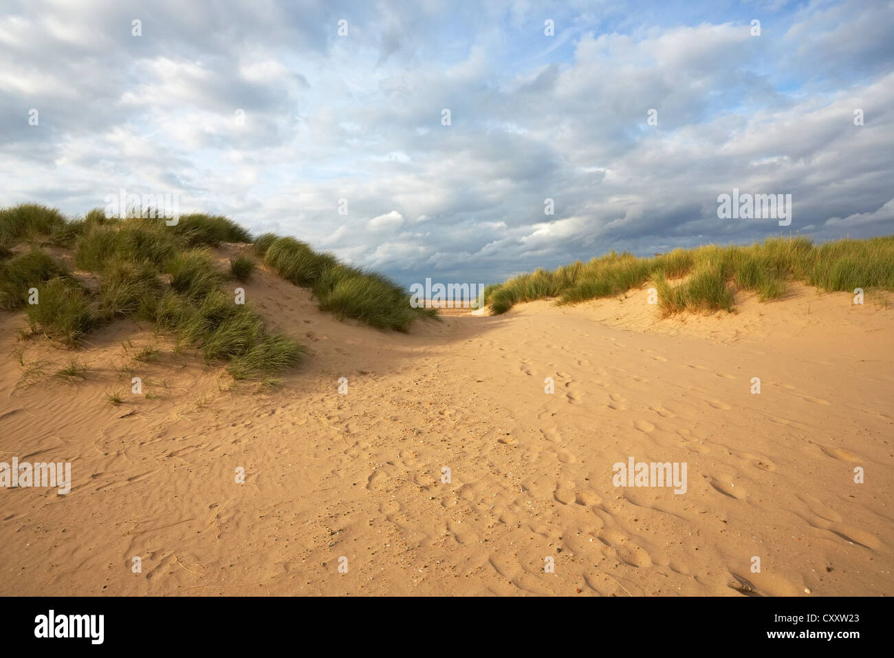 Holkham beach norfolk sand dunes hi-res stock photography and images ...