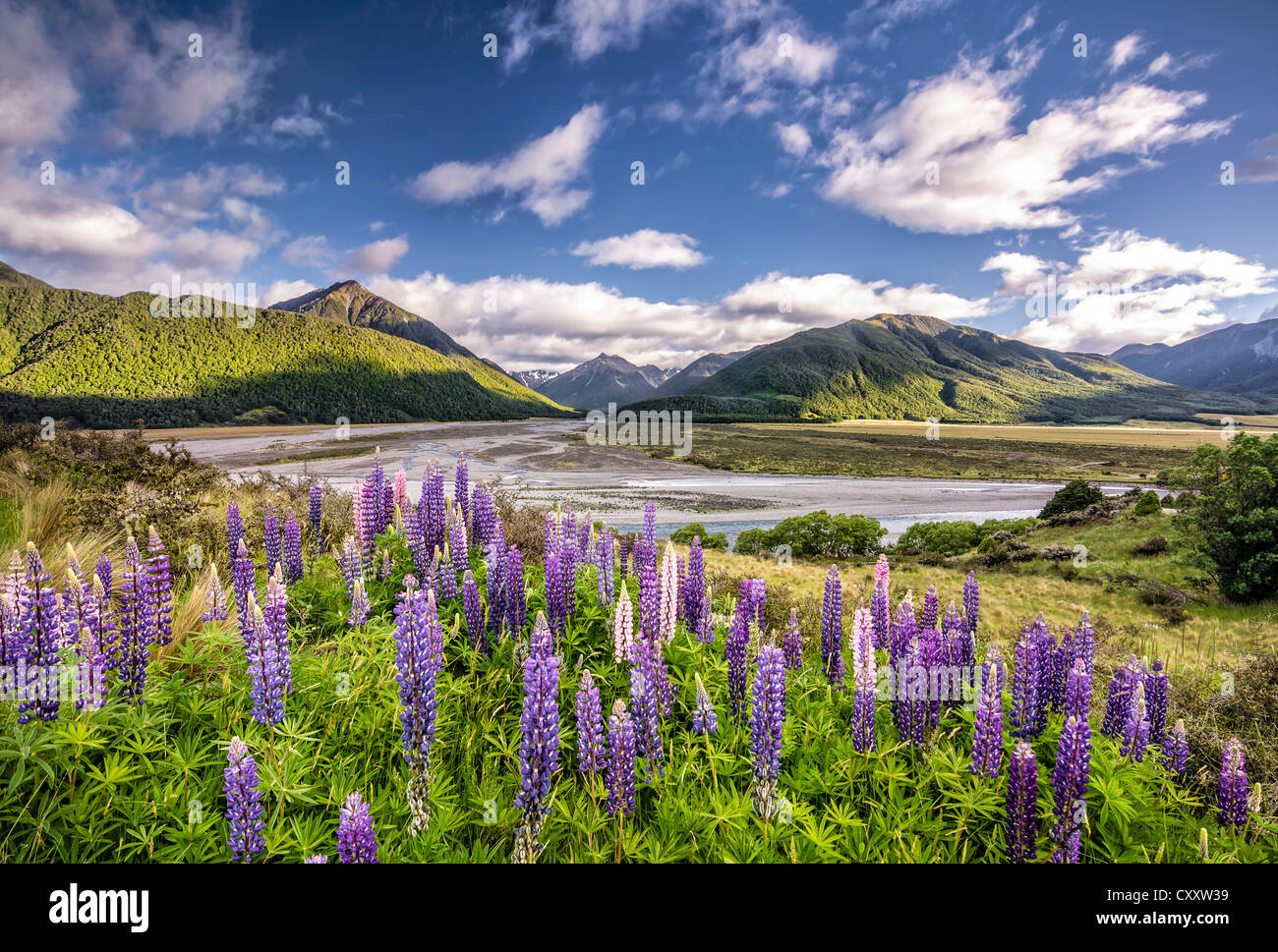 Waimakariri river hi-res stock photography and images - Alamy