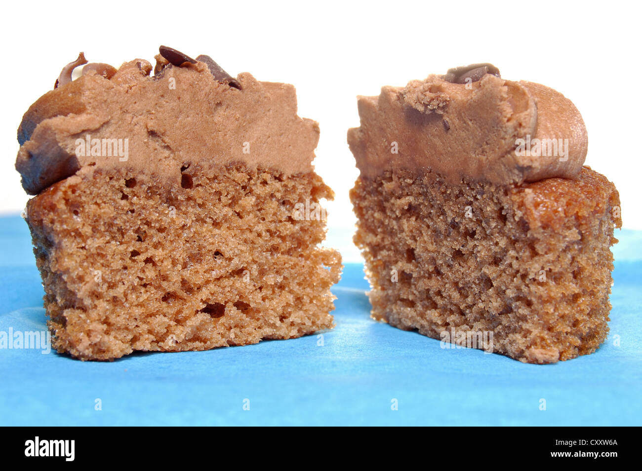 Chocolate cupcake cut in half on blue paper against a white background ...
