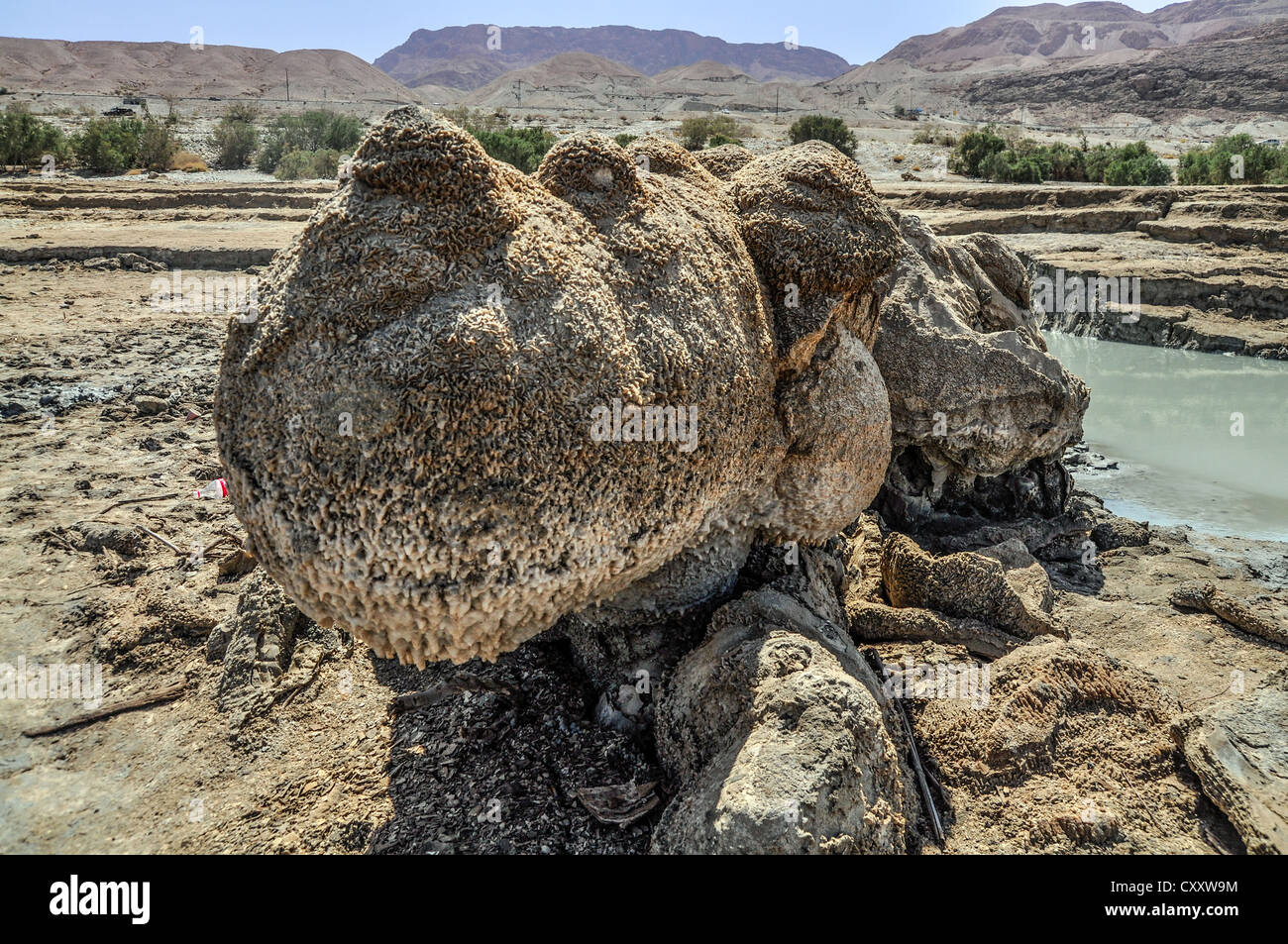 big boulder is covered with salt from the Dead Sea Stock Photo - Alamy