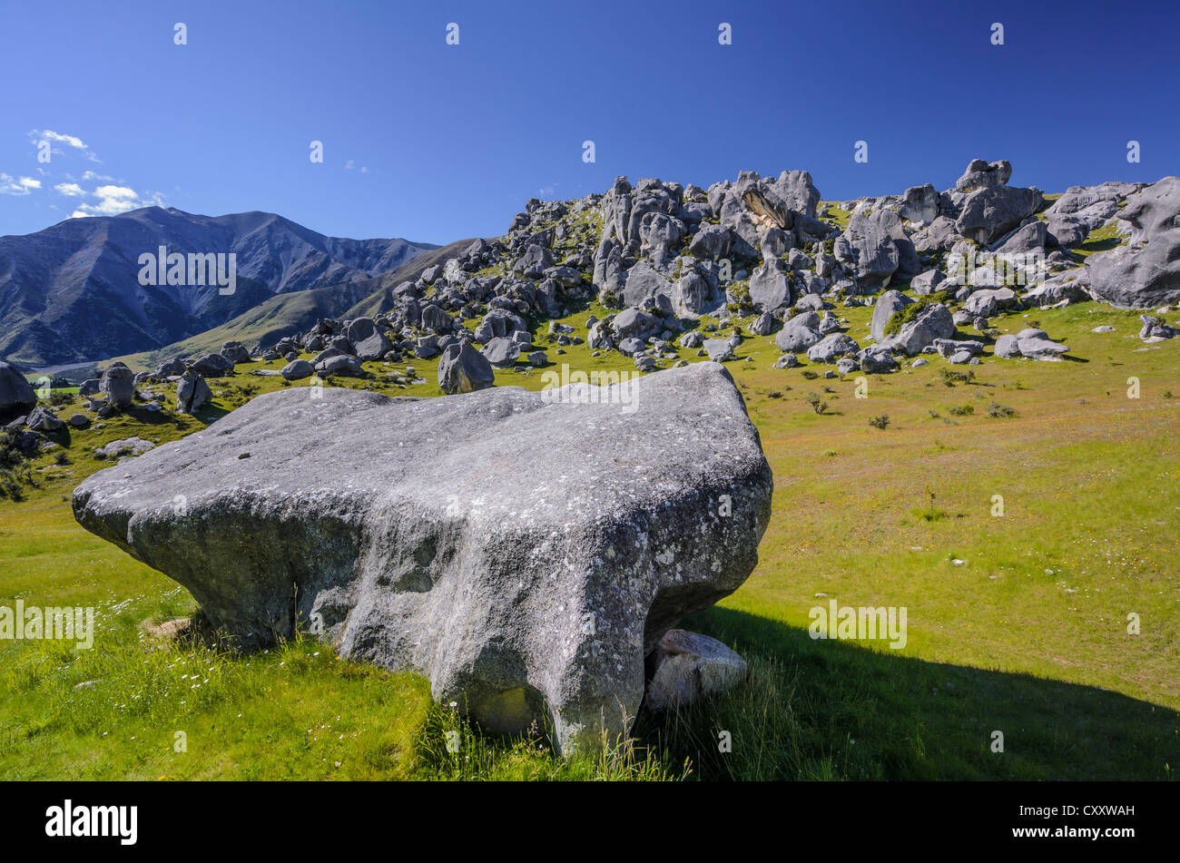 Limestone rock formations on Castle Hill, South Island, New Zealand ...