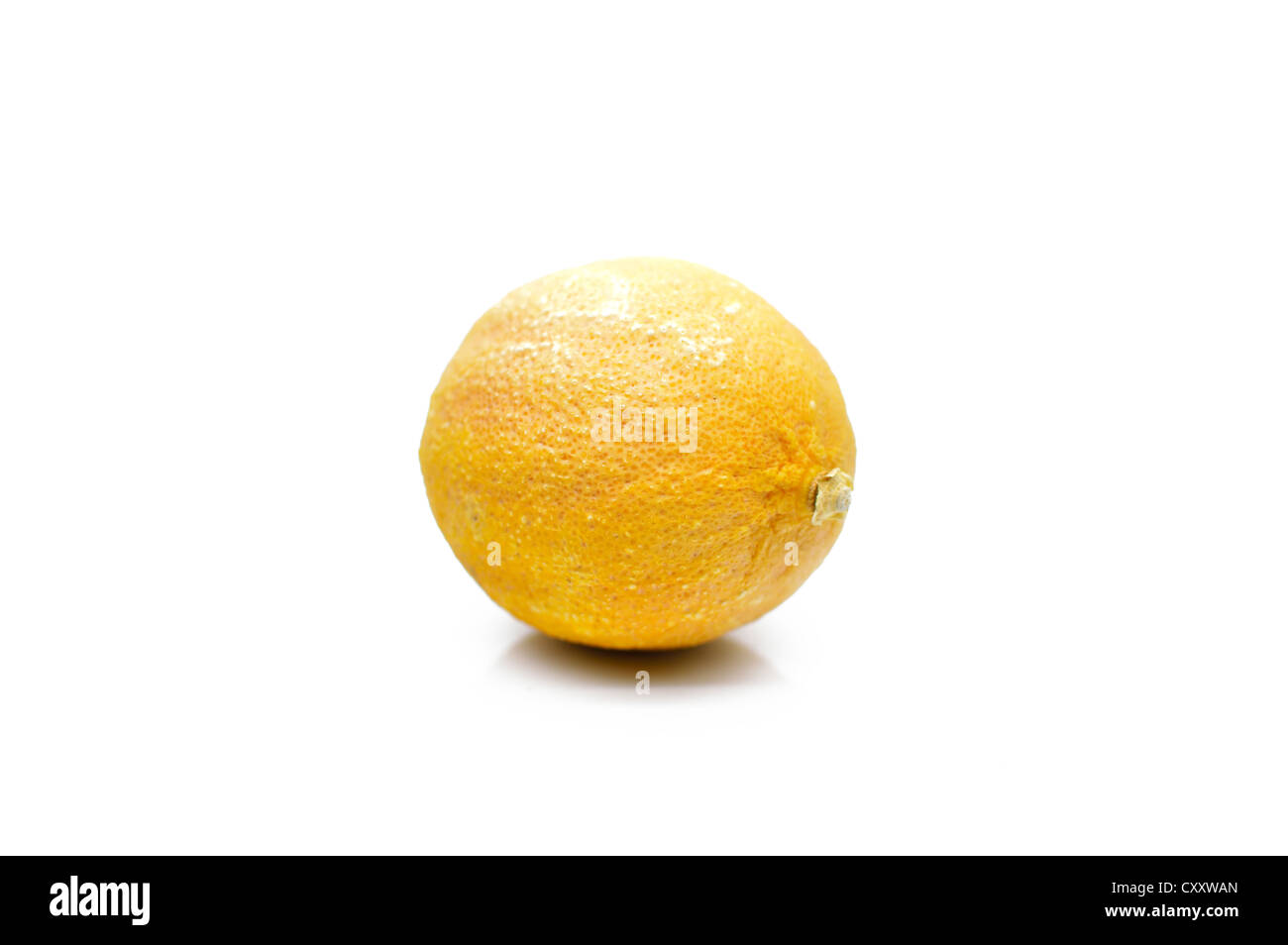 Old and dry the lemon on a white background Stock Photo - Alamy