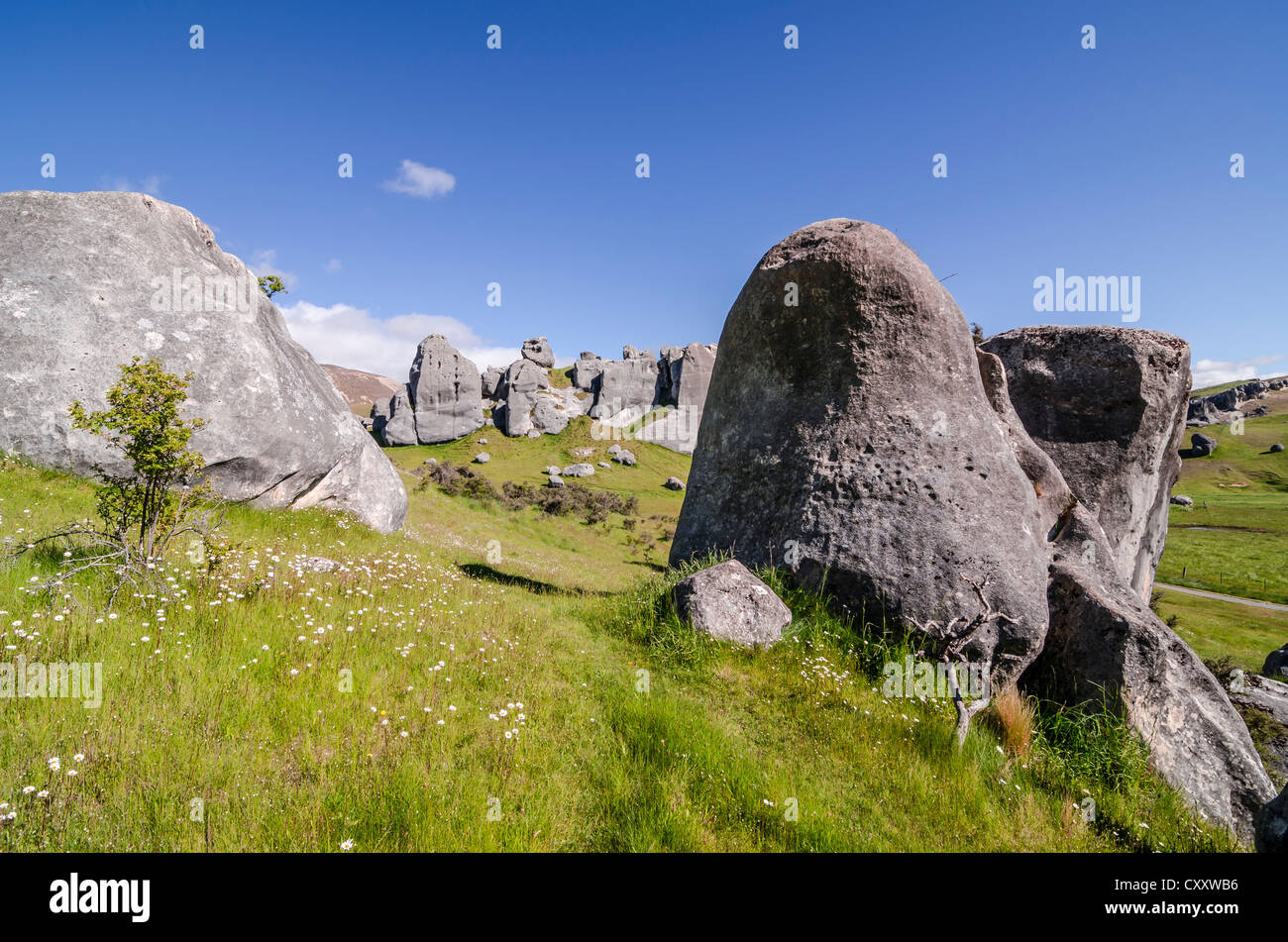 Limestone rock formations on Castle Hill, South Island, New Zealand ...