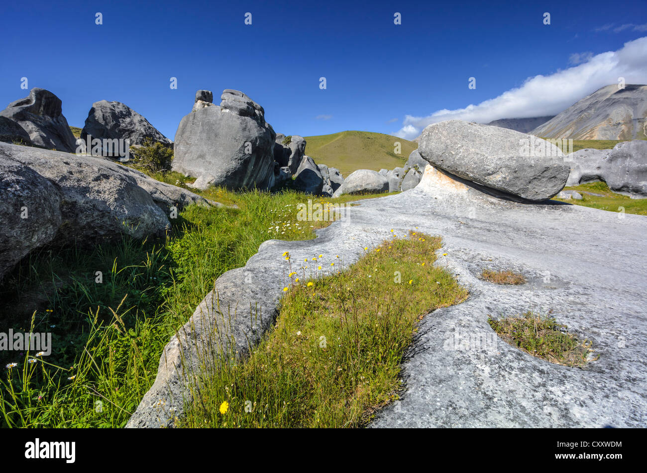 Limestone rock formations on Castle Hill, South Island, New Zealand ...