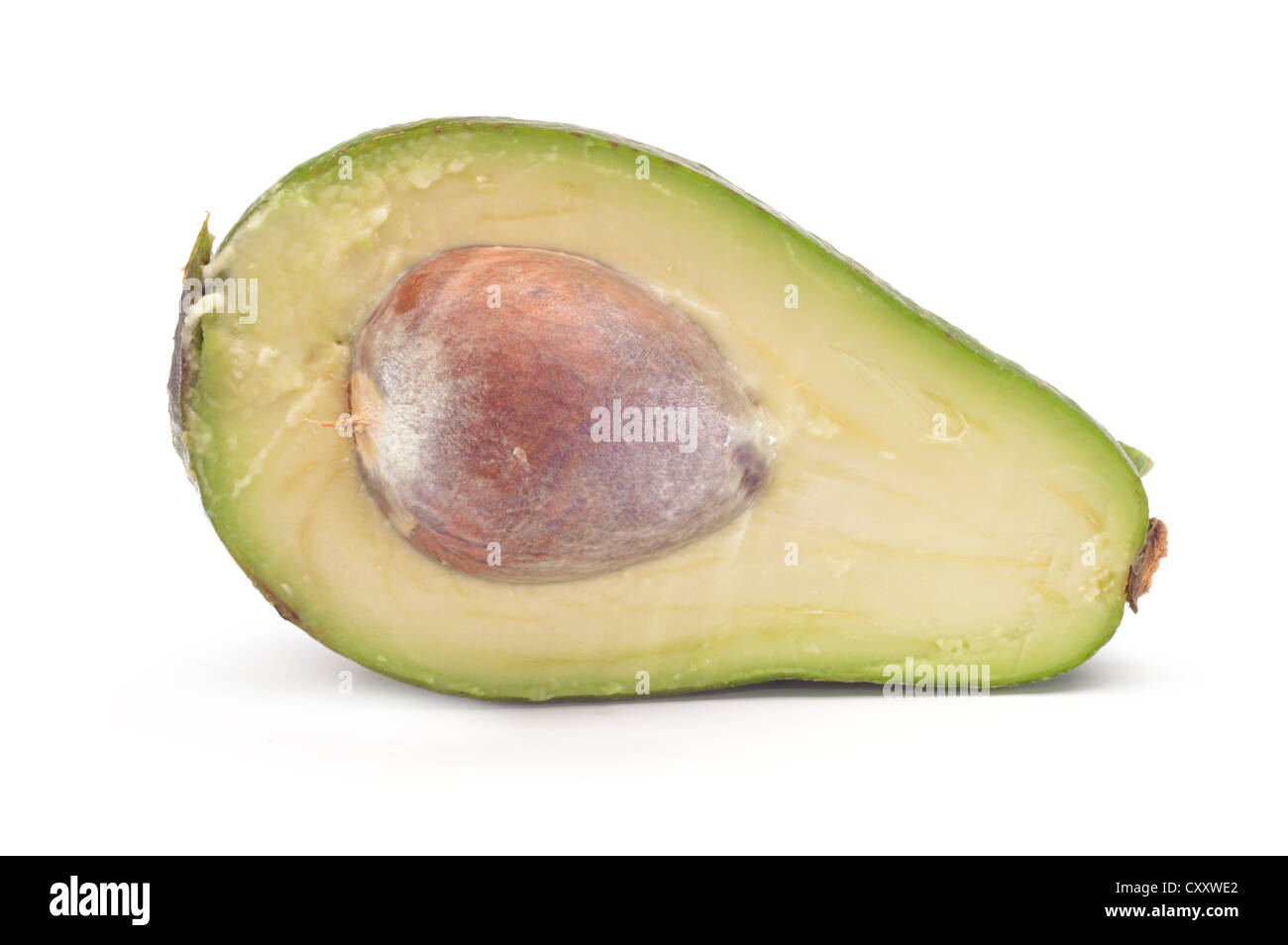 large avocado, close-up on a white background Stock Photo - Alamy