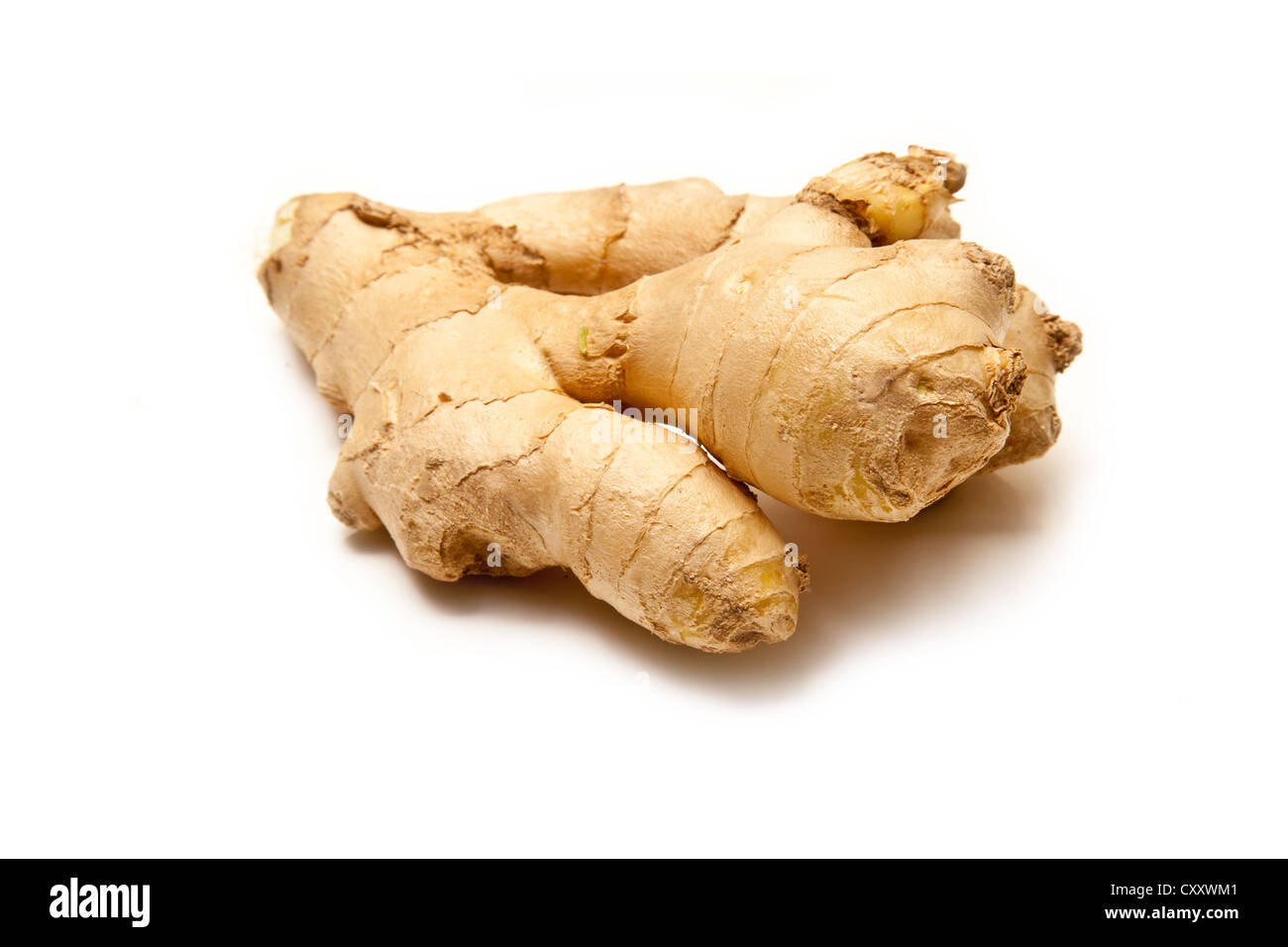 Root ginger isolated on a white studio background Stock Photo - Alamy