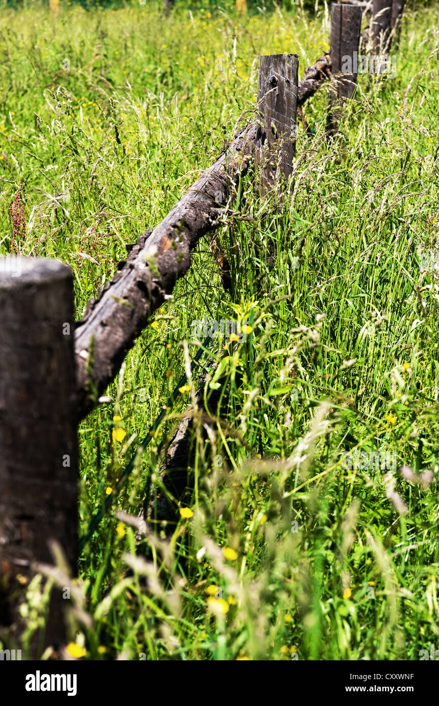 Hay and grassland with fence Stock Photo - Alamy