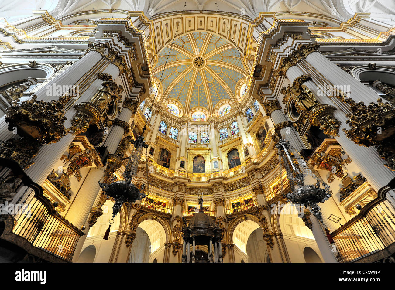 Vaulted ceiling, Cathedral of Santa Maria de la Encarnacion, Granada ...