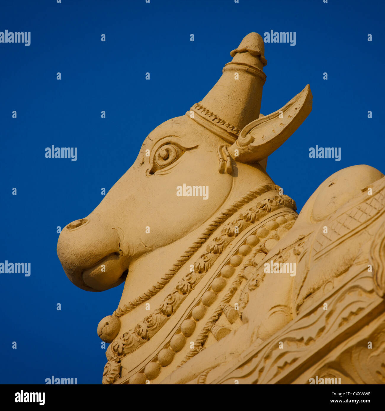 Head Of A Carved Nandi Bull, Shiva's Mount, Mysore, India Stock Photo ...