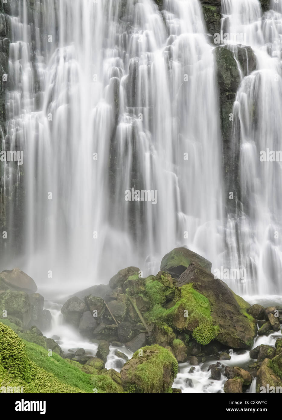 Marokopa Falls, Waikato, North Island, New Zealand Stock Photo - Alamy