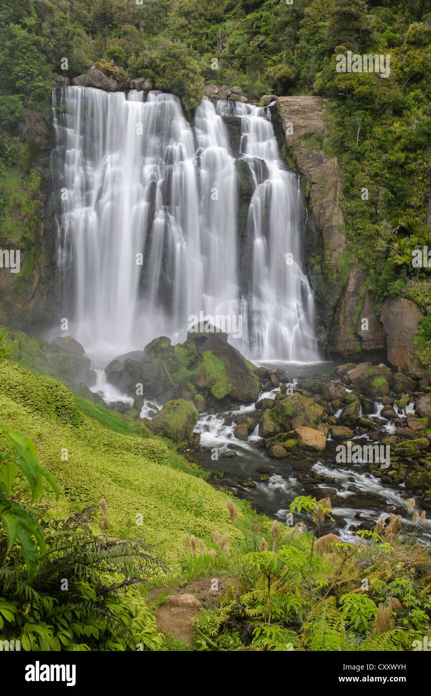 Marokopa Falls, Waikato, North Island, New Zealand Stock Photo - Alamy
