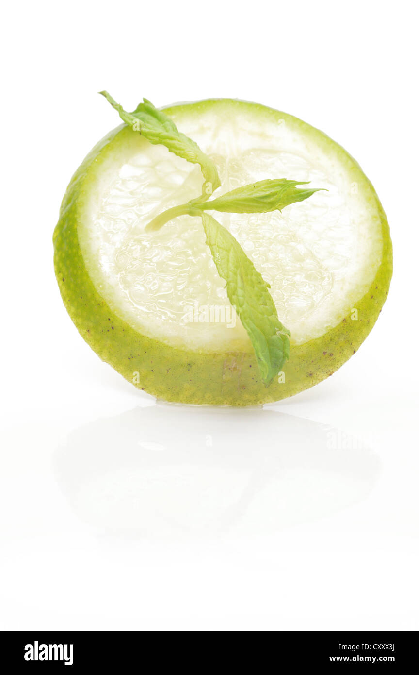 Close up slices bright Cut Out Stock Images & Pictures - Alamy