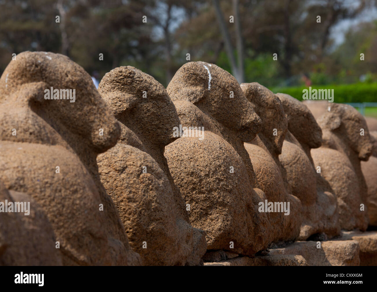 Row Of Nandi Bulls Carved Into Block Of Stones In The Shore Temple Of ...