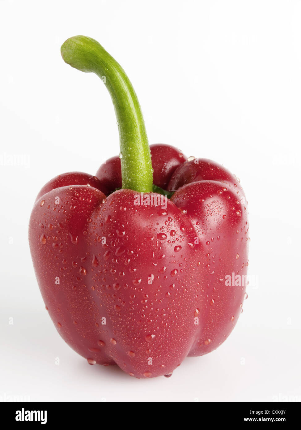 Fresh, red paprika with drops of water on white background Stock Photo ...