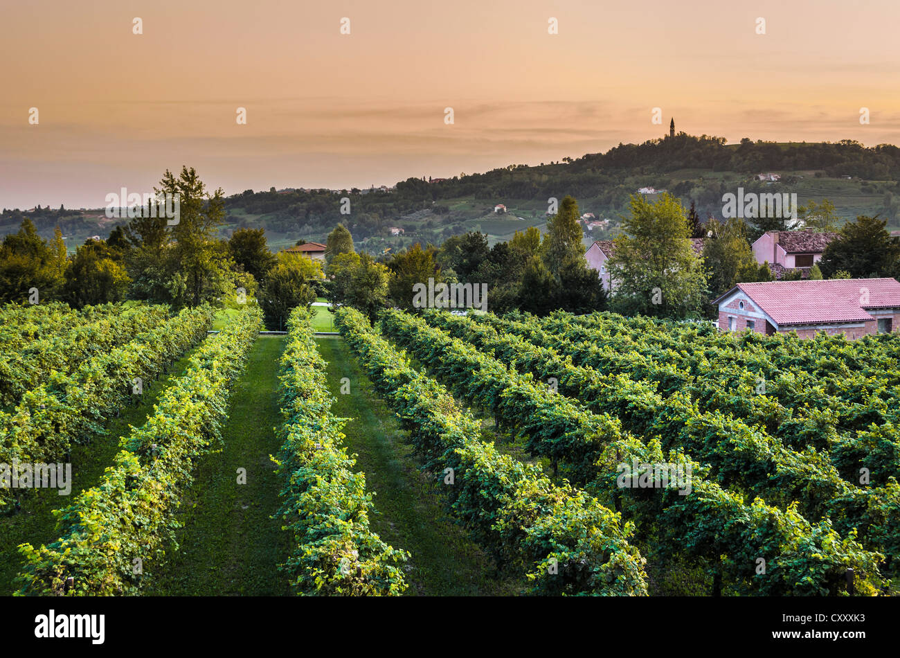 Revin hi-res stock photography and images - Alamy