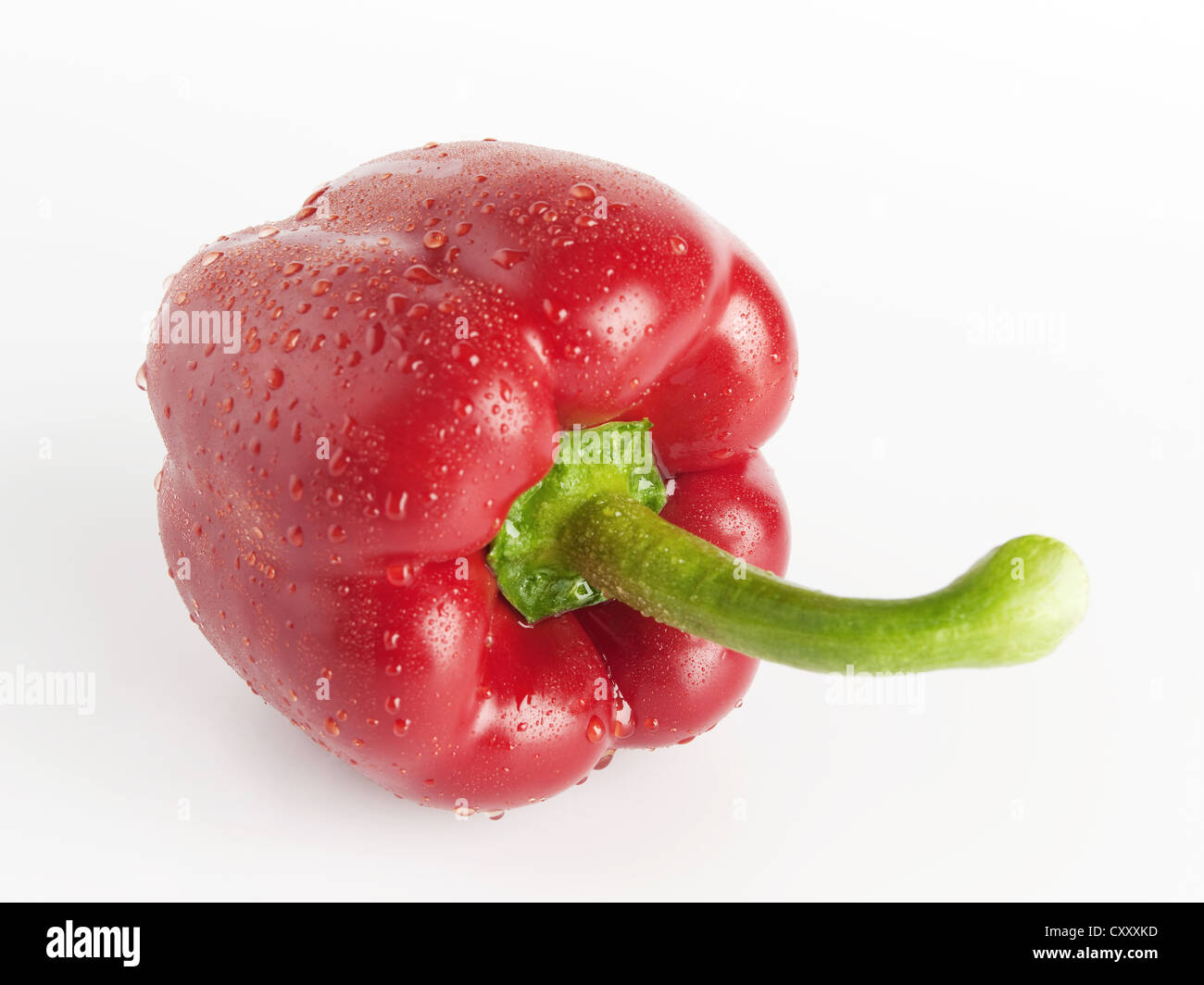 Fresh, red paprika with drops of water on white background Stock Photo ...