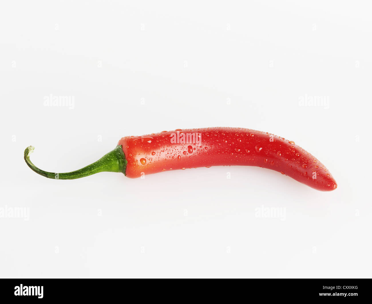 Red pepperoni with drops of water on white background Stock Photo - Alamy