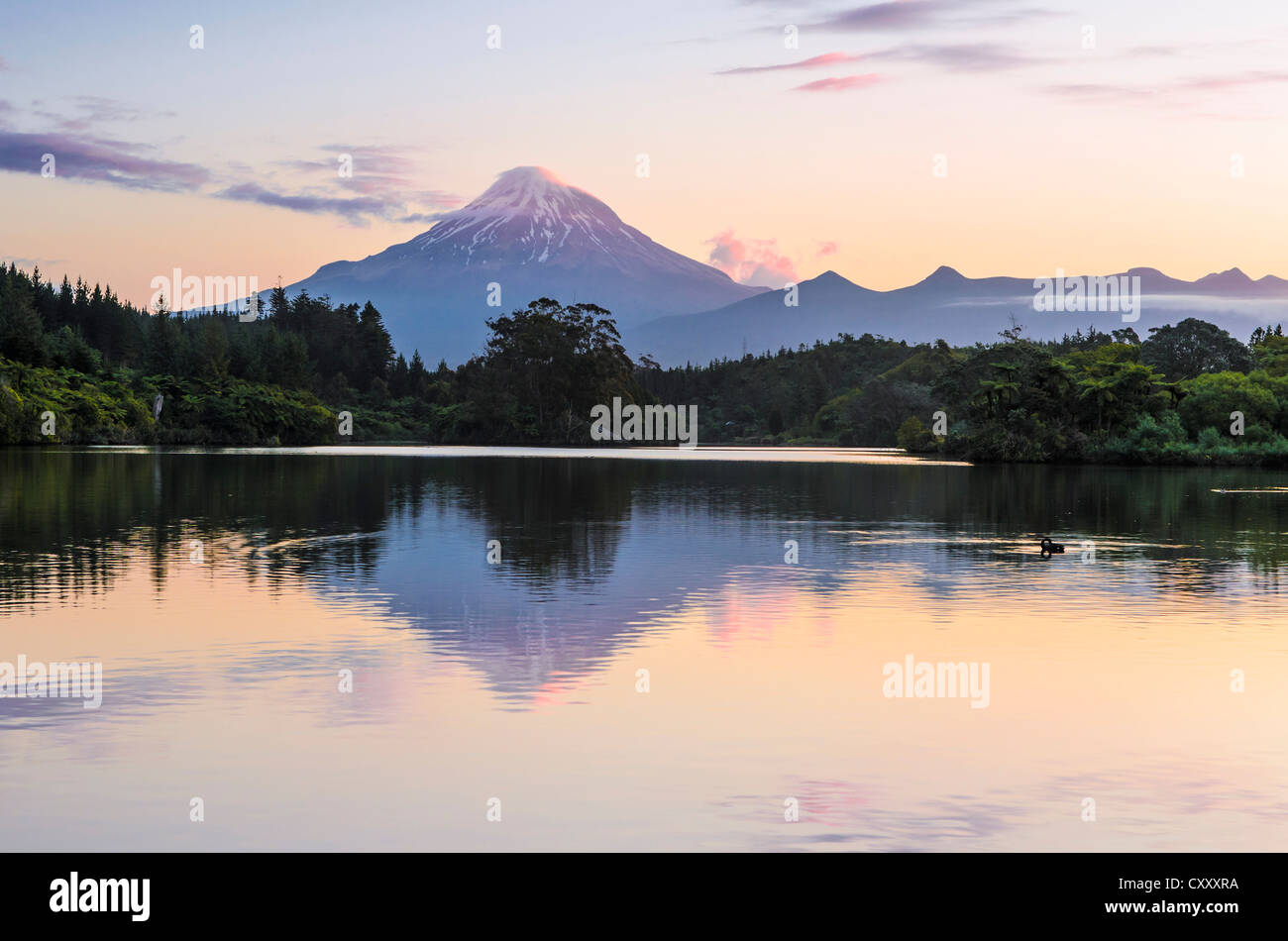 Mt Taranaki, Mt Egmont volcano, North Island, New Zealand, Oceania ...