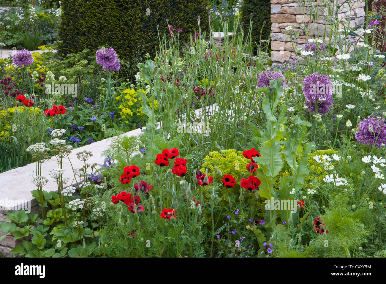 Cottage garden border uk native hi-res stock photography and images - Alamy