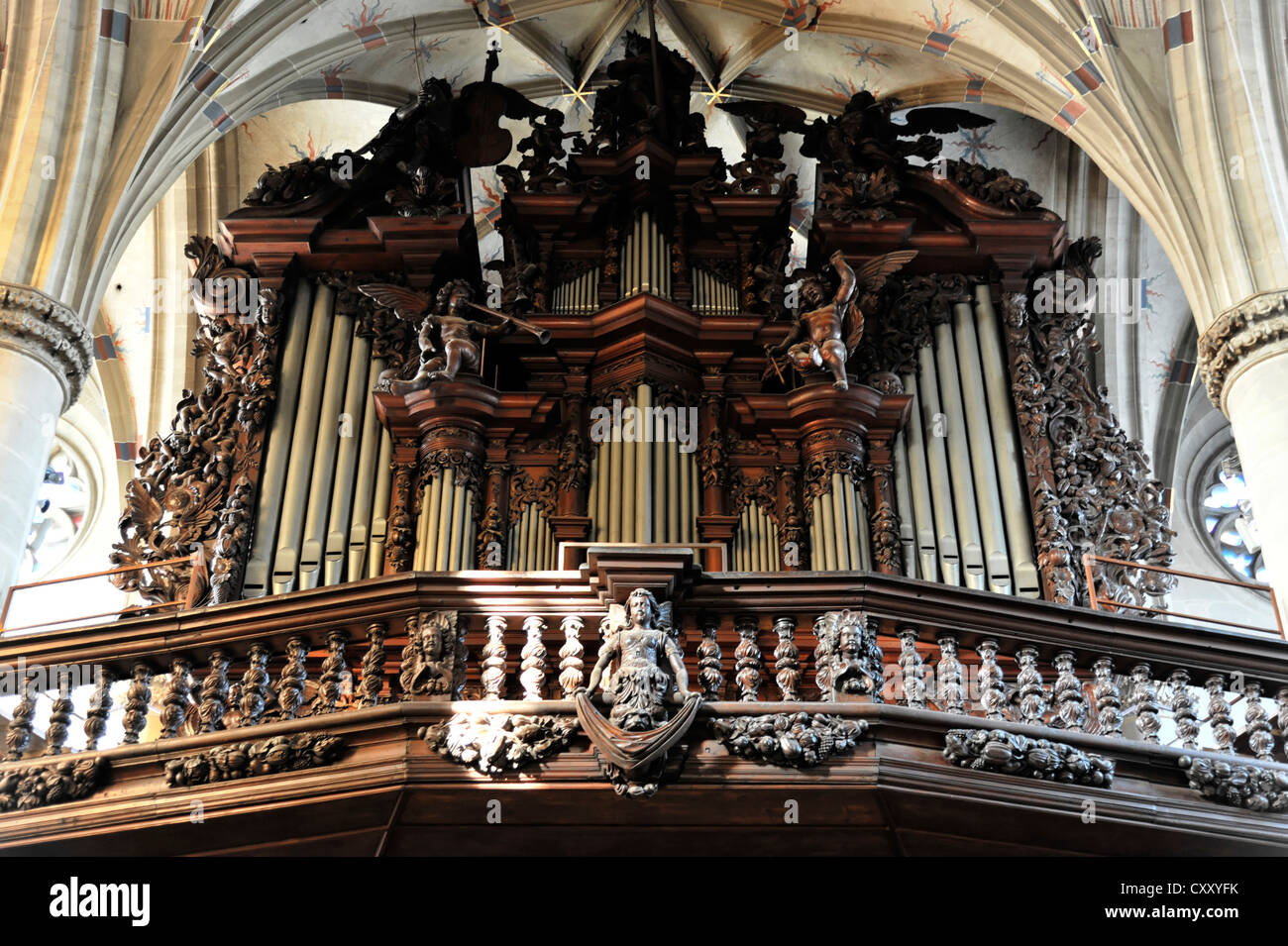 Organ, Holy Cross Minster, construction began in 1315, Schwaebisch ...
