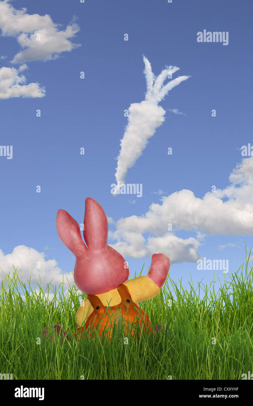 White bunny with carrot hi-res stock photography and images - Alamy