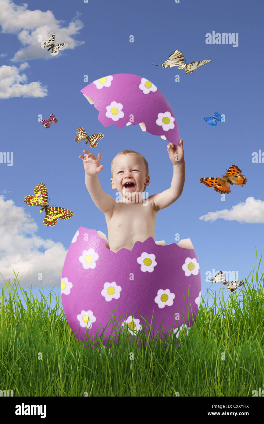 Egg hatching baby hi-res stock photography and images - Alamy