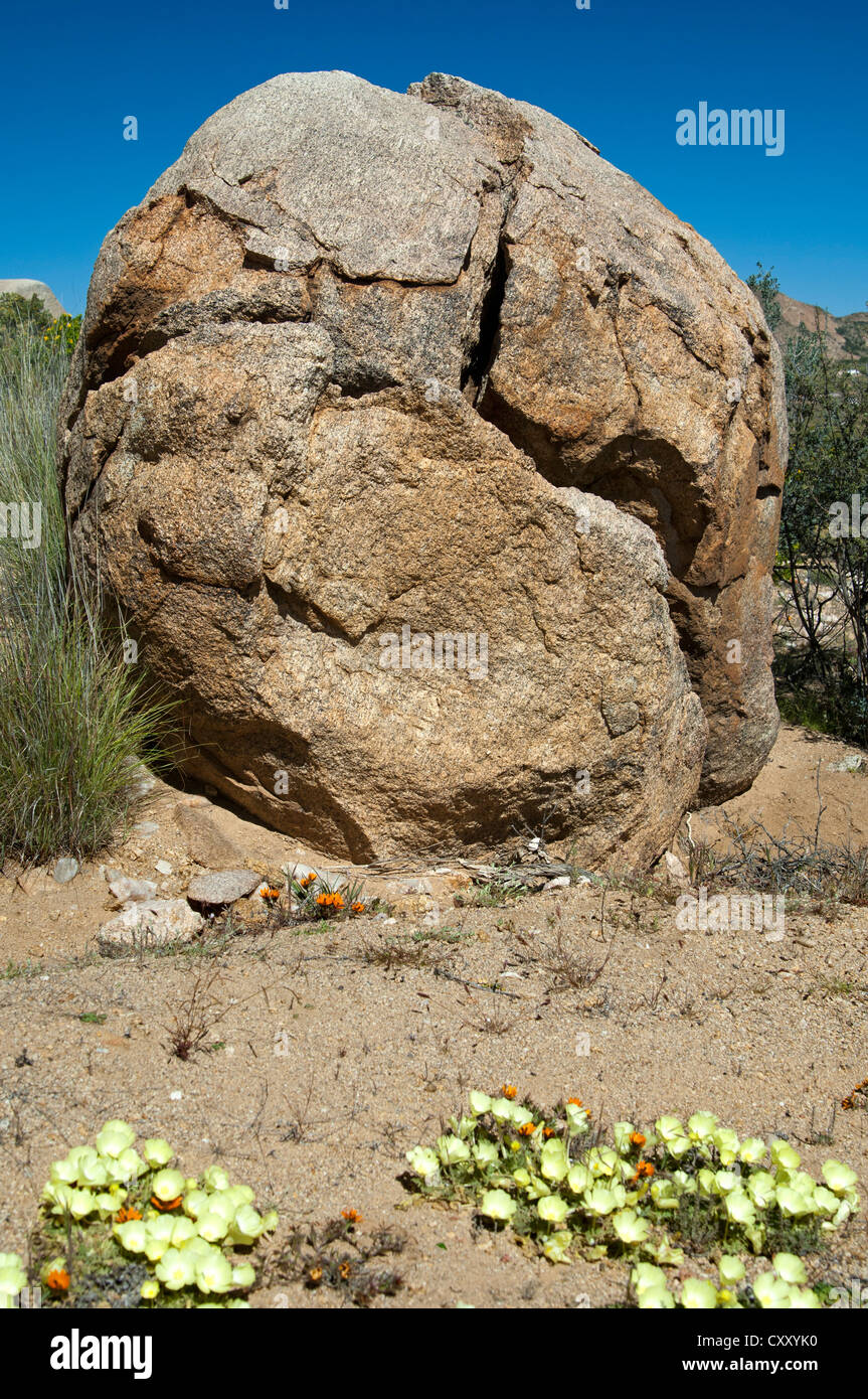 Granite rock, split by extreme temperature fluctuations, Namaqualand ...