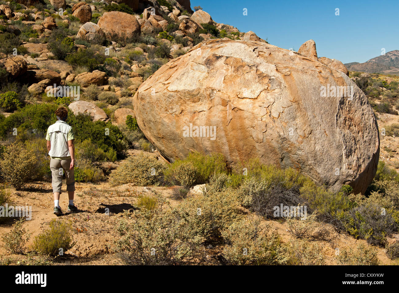 Large withered granite rock with person for size comparison ...