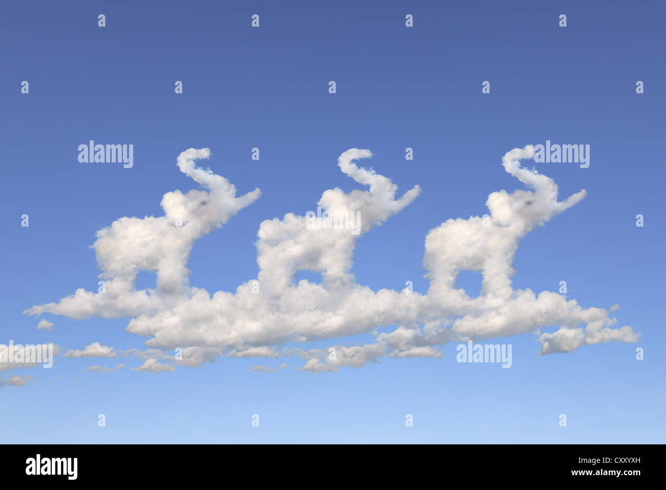 Elephant shape cloud hi-res stock photography and images - Alamy