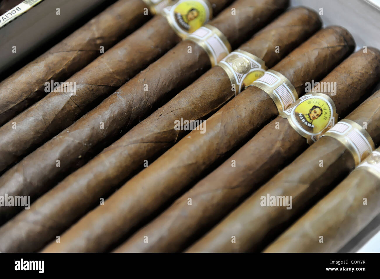 Bolivar cigar brand in a tobacco shop, Havana, Cuba, Greater Antilles ...