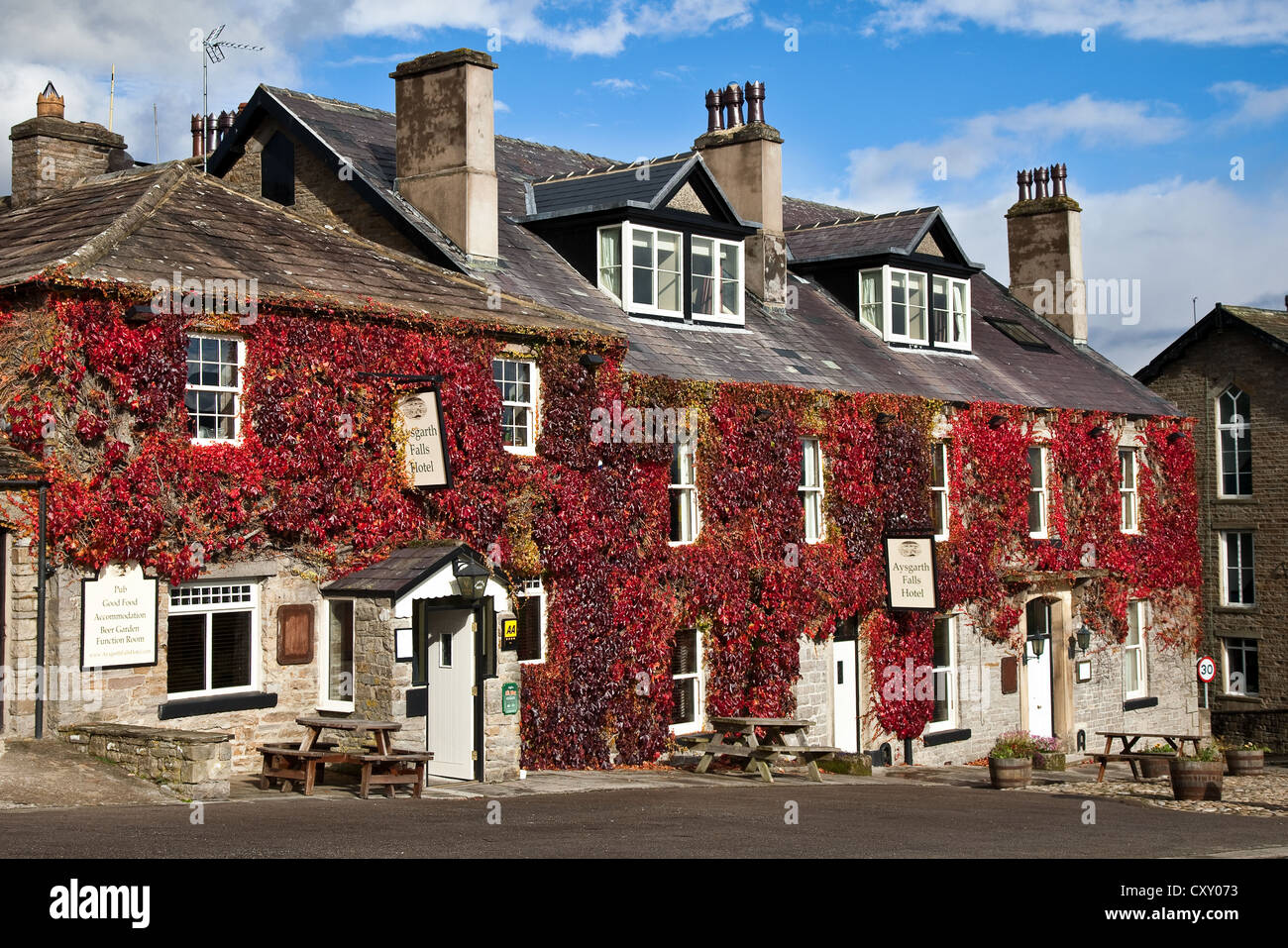 Aysgarth Falls Hotel covered in red Virginia Creeper vine, in the ...
