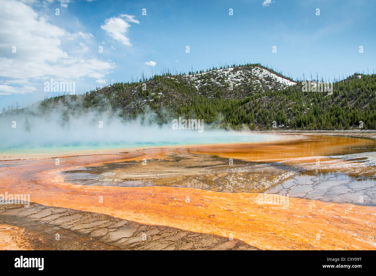 Geothermal activity in Yellowstone National Park Stock Photo - Alamy
