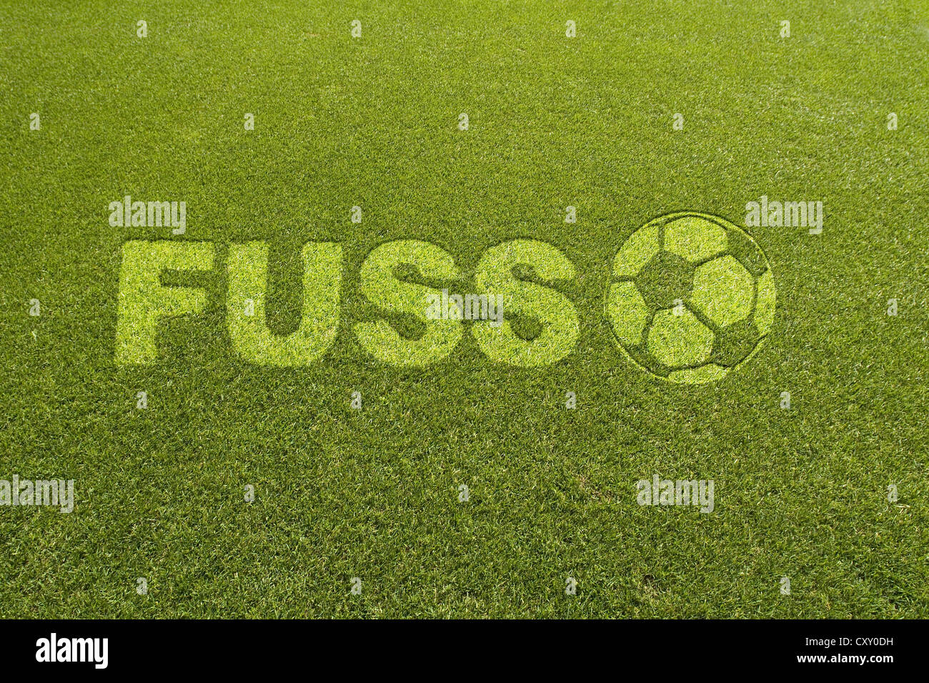 German foot hi-res stock photography and images - Alamy