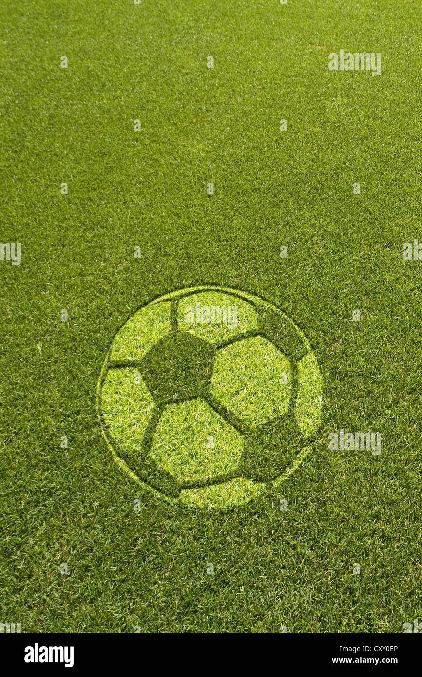 Grass with a football pattern, composing Stock Photo - Alamy